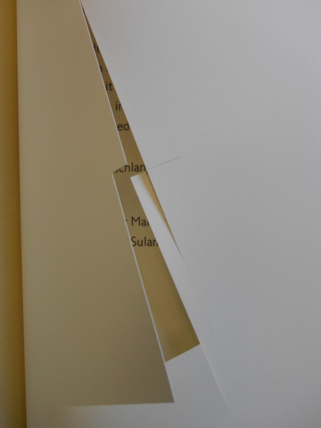 Todesfuge [Death Fugue] by Celan, Paul; Kuball, Mischa (Artist): Near ...