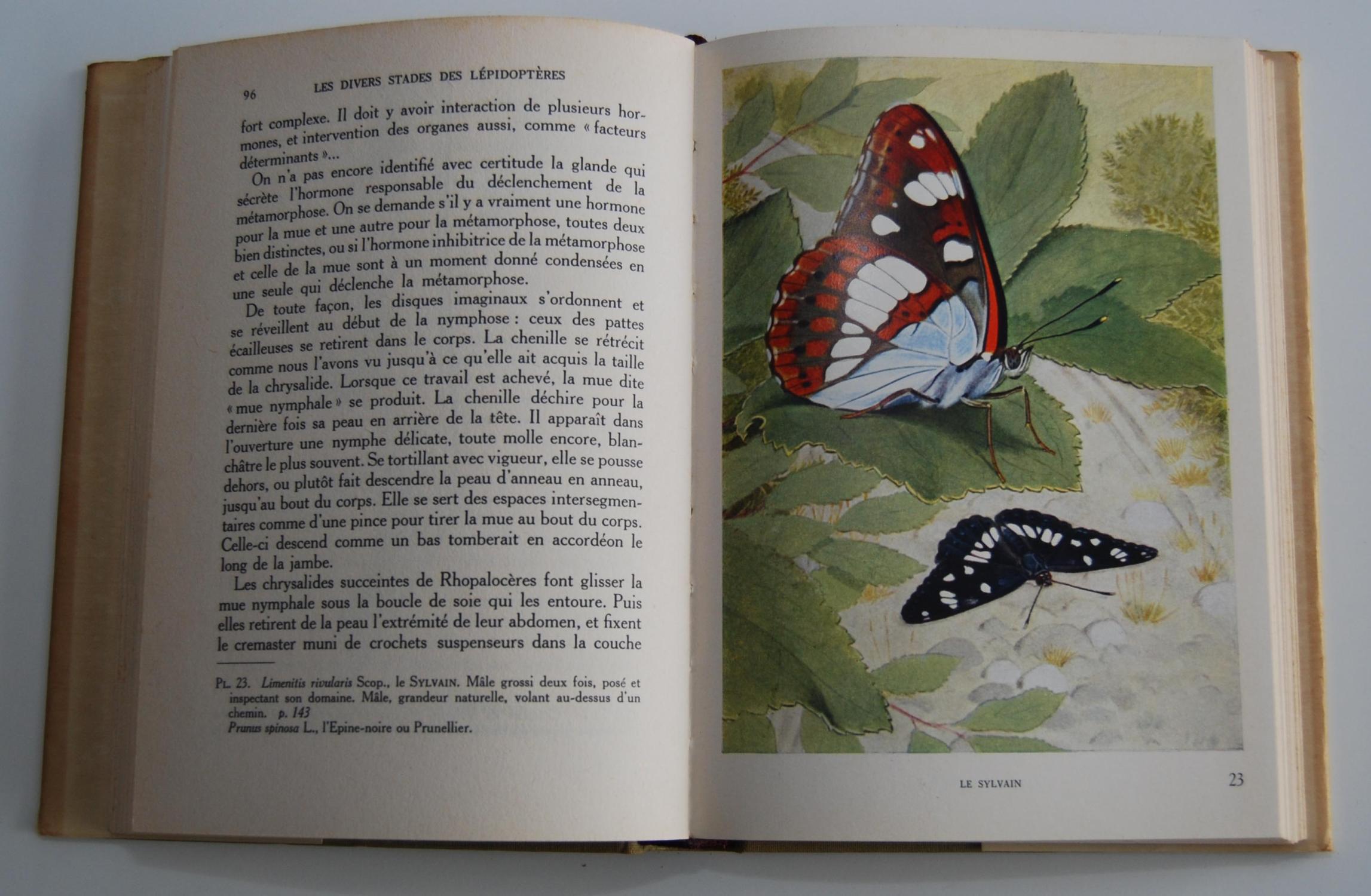 Papillons d'Europe - volume I : Diurnes et écailles par Aubert, Jacques ...