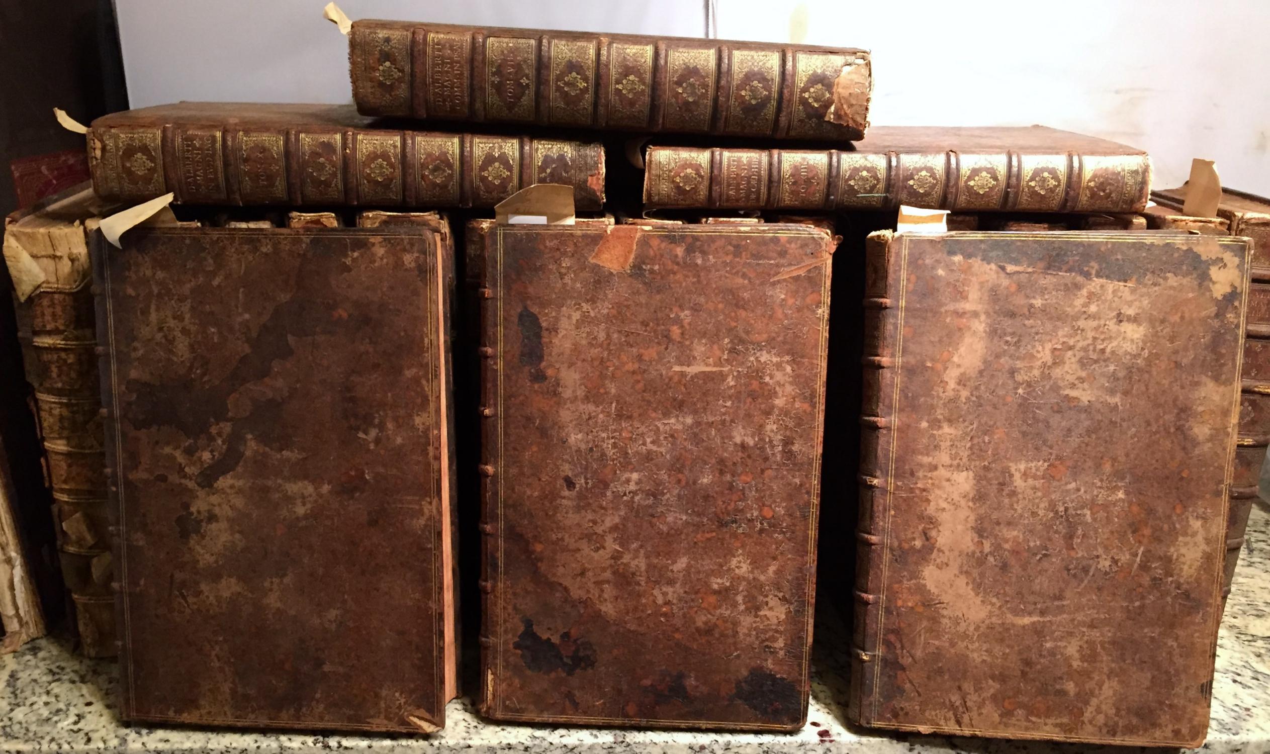 Beati Alberti Magni: Opera quae hactenus haberi potuerunt (Works of ...