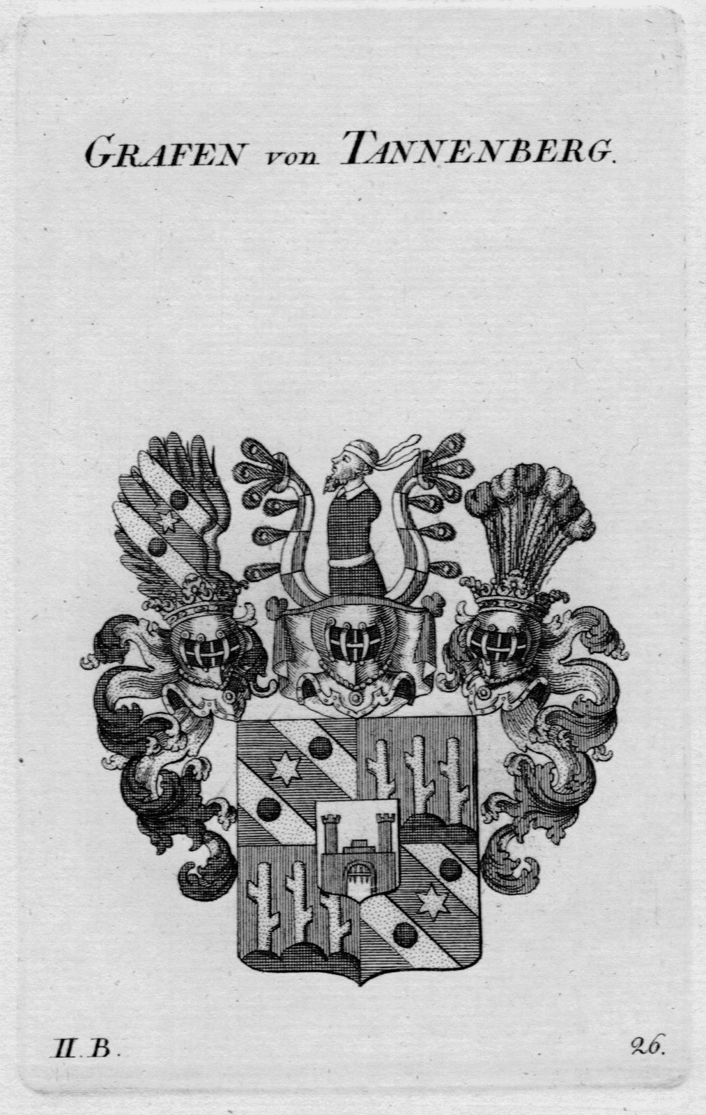 Tannenberg Wappen Adel coat of arms heraldry Heraldik crest: (1820) Art ...