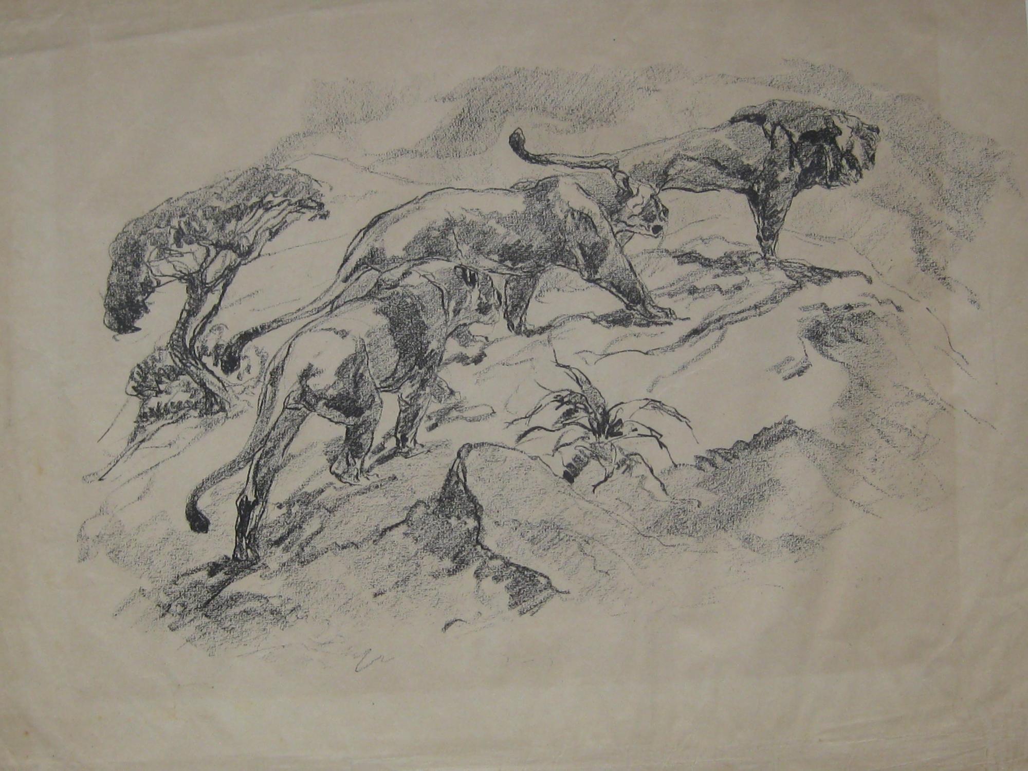 Löwen. Lithografie. von Dill, Otto: | Versandantiquariat Alraune