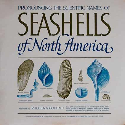Pronouncing the Scientific Names of Seashells of North America von ...