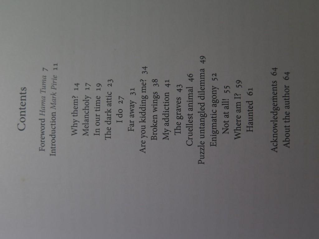 Broken Wings de Yilma Tafere Tasew. Intoduction by Mark Pire. Foreward ...