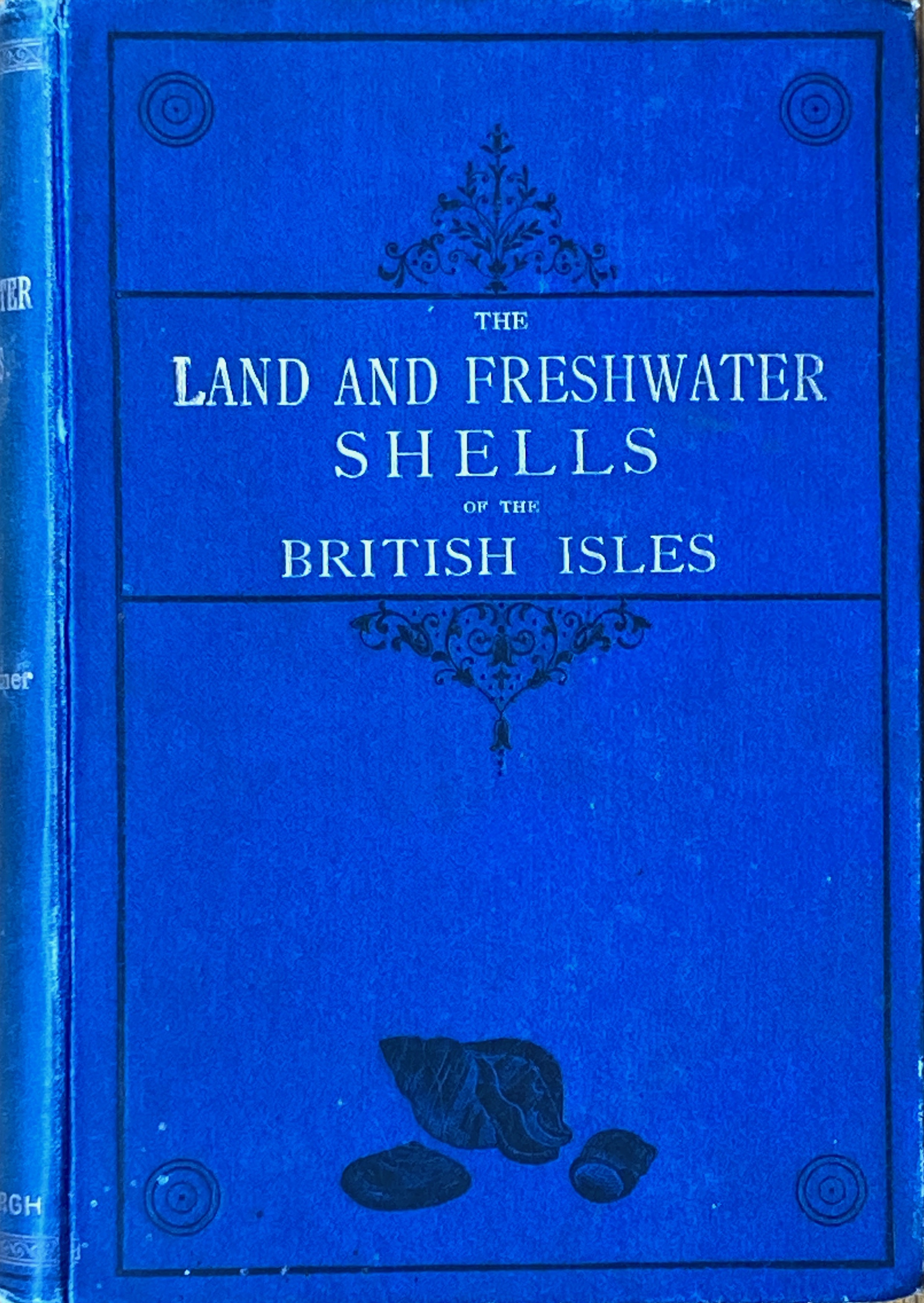 The land and freshwater shells of the British Isles by Rimmer, R.: V.g ...