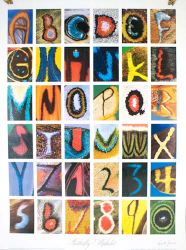 Pair of alphabet-themed posters | Bromer Booksellers, Inc., ABAA