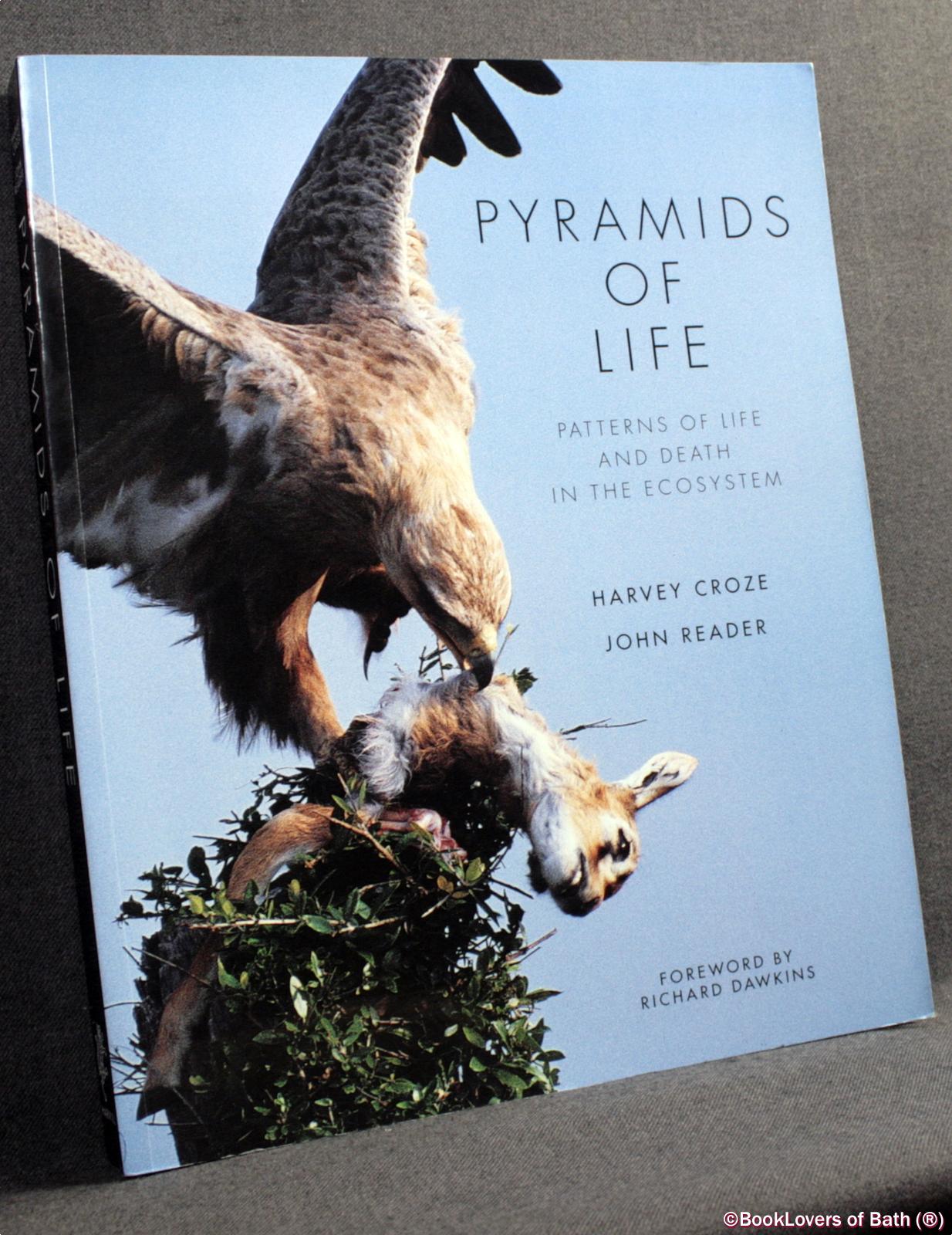 Pyramids of Life: Patterns of Life and Death in the Ecosystem by Harvey ...