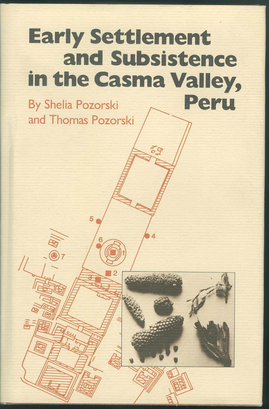 Early Settlement and Subsistence in the Casma Valley, Peru by Pozorski ...