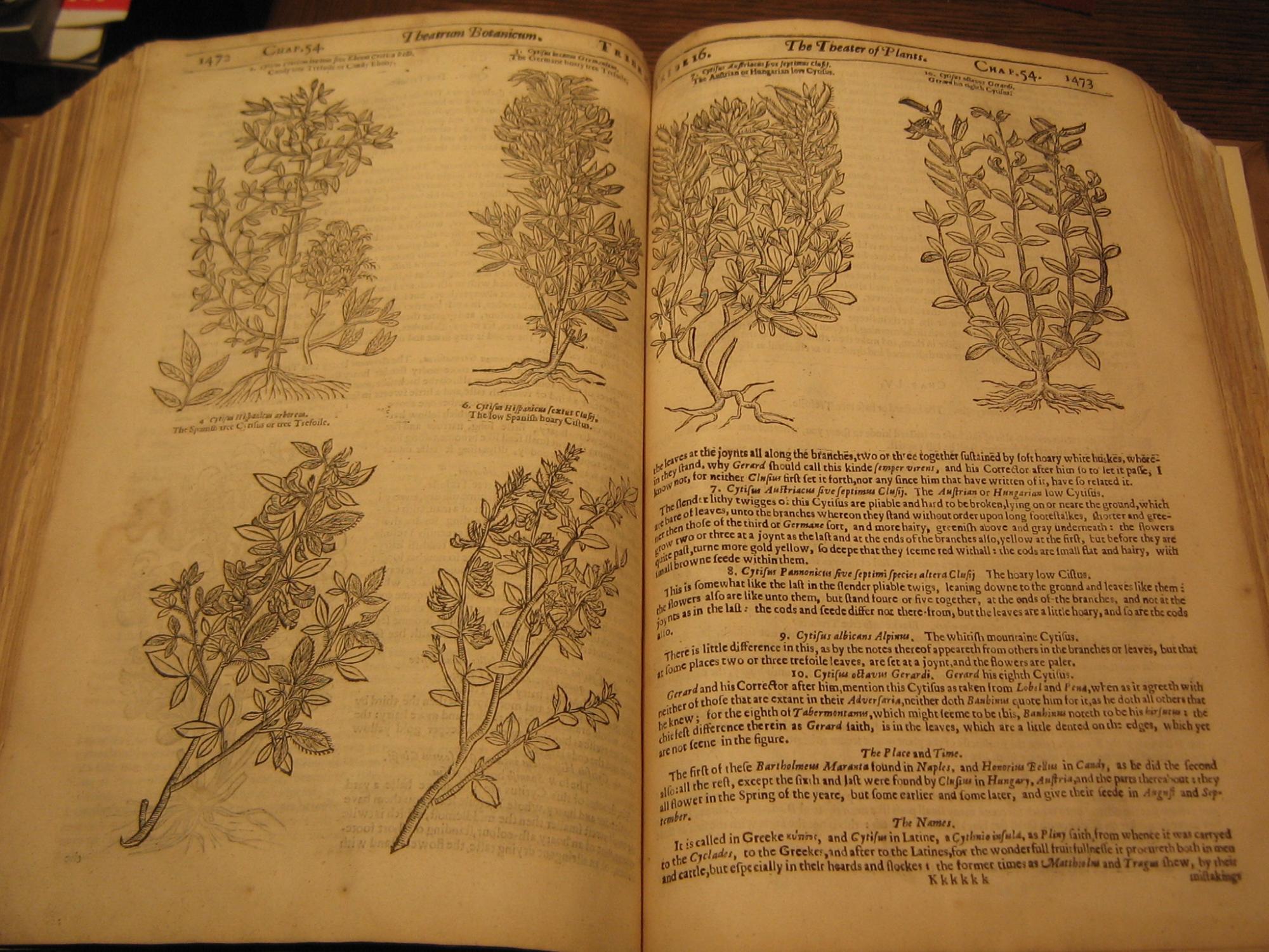 THEATRUM BOTANICUM, THE THEATER OF PLANTS OR A UNIVERSAL AND COMPLETE ...