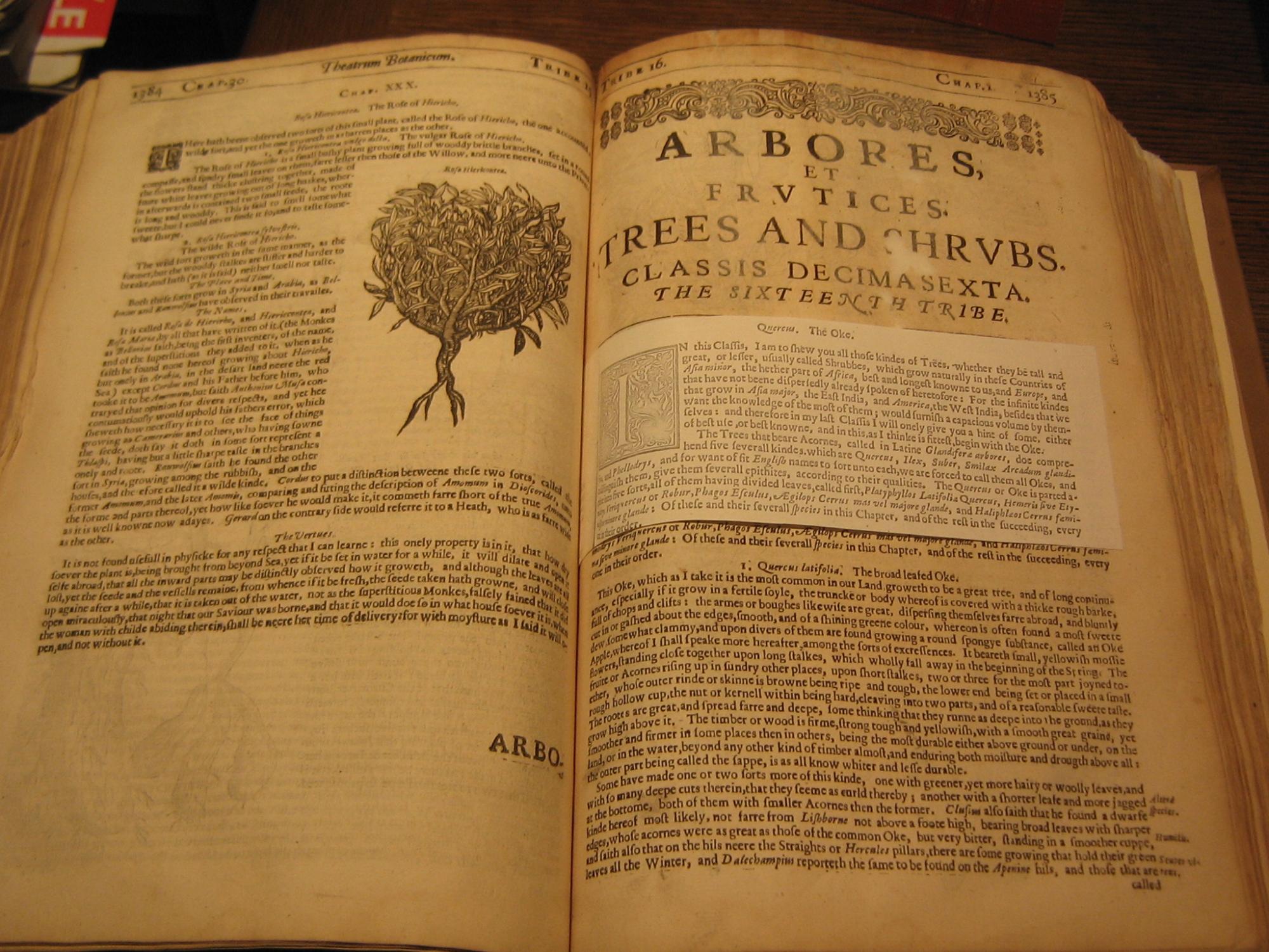 THEATRUM BOTANICUM, THE THEATER OF PLANTS OR A UNIVERSAL AND COMPLETE ...