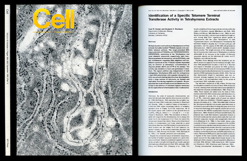 Identification of a Specific Telomere Transferase Activity in ...