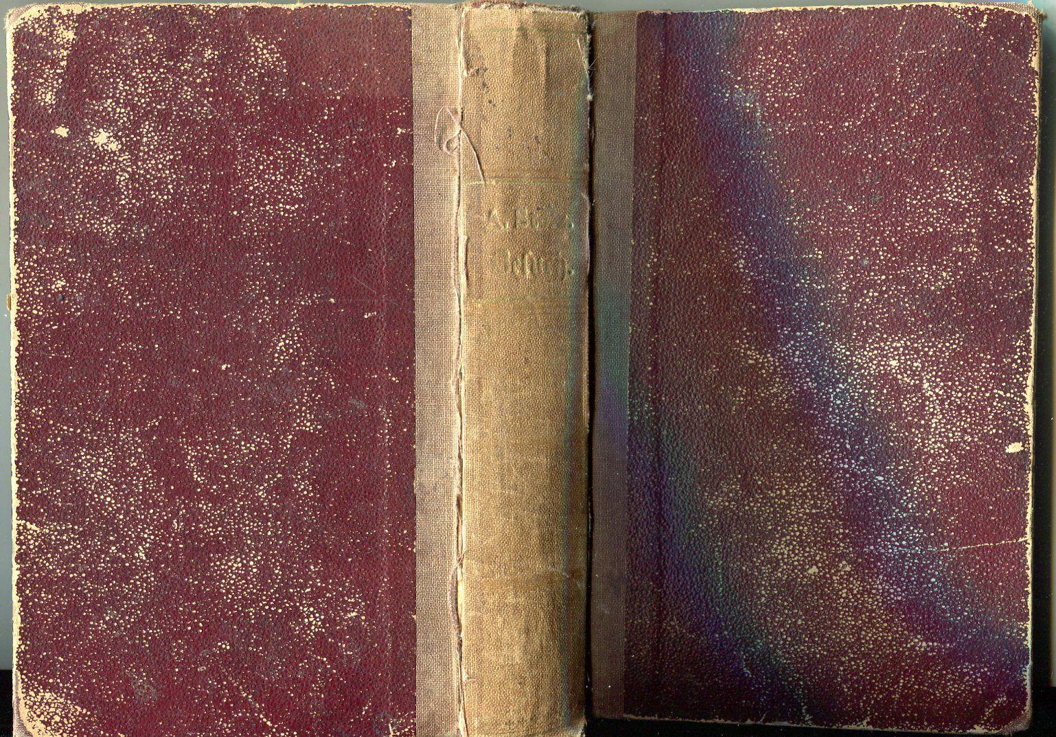 Besuch bei Sem, Cham und Japhet, oder Reise in das heilige Land von ...