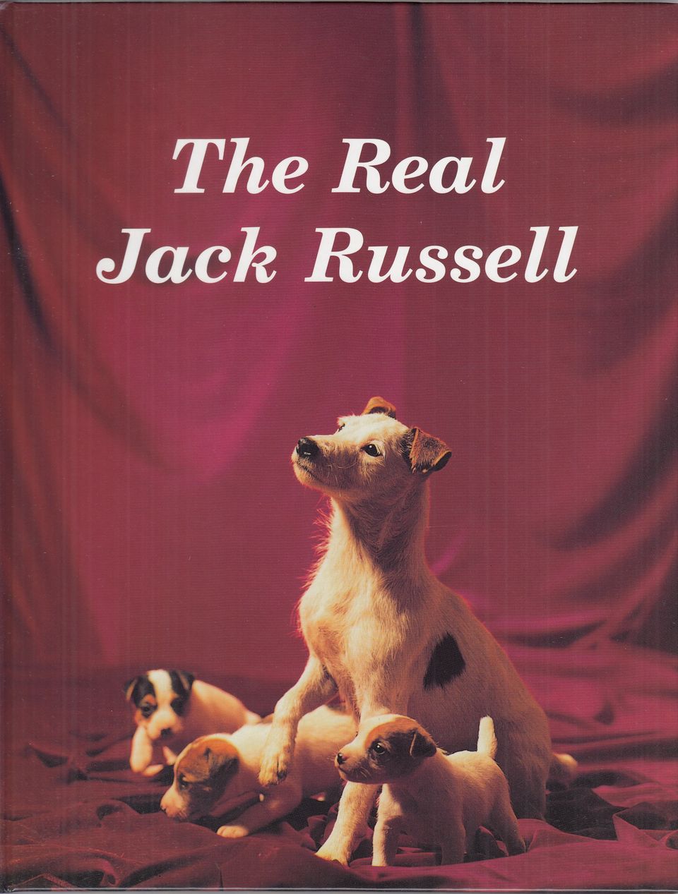 THE REAL JACK RUSSELL. By Eddie Chapman. by Chapman (Eddie).: new ...