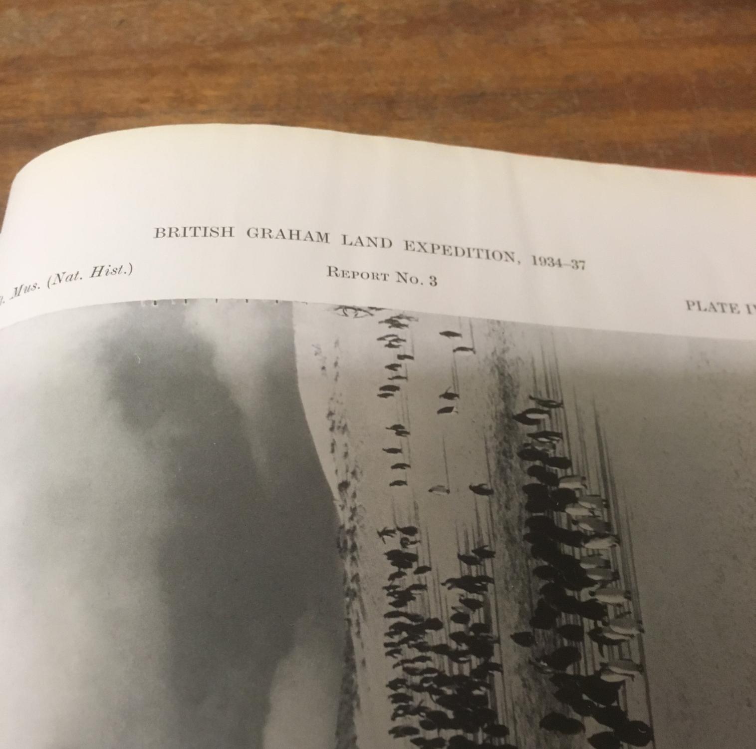 British Graham Land Expedition 1934-37. Scientific Reports: The ...