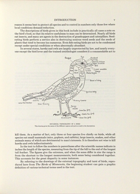 Bird portraits in color. Two hundred ninety-five North American species ...