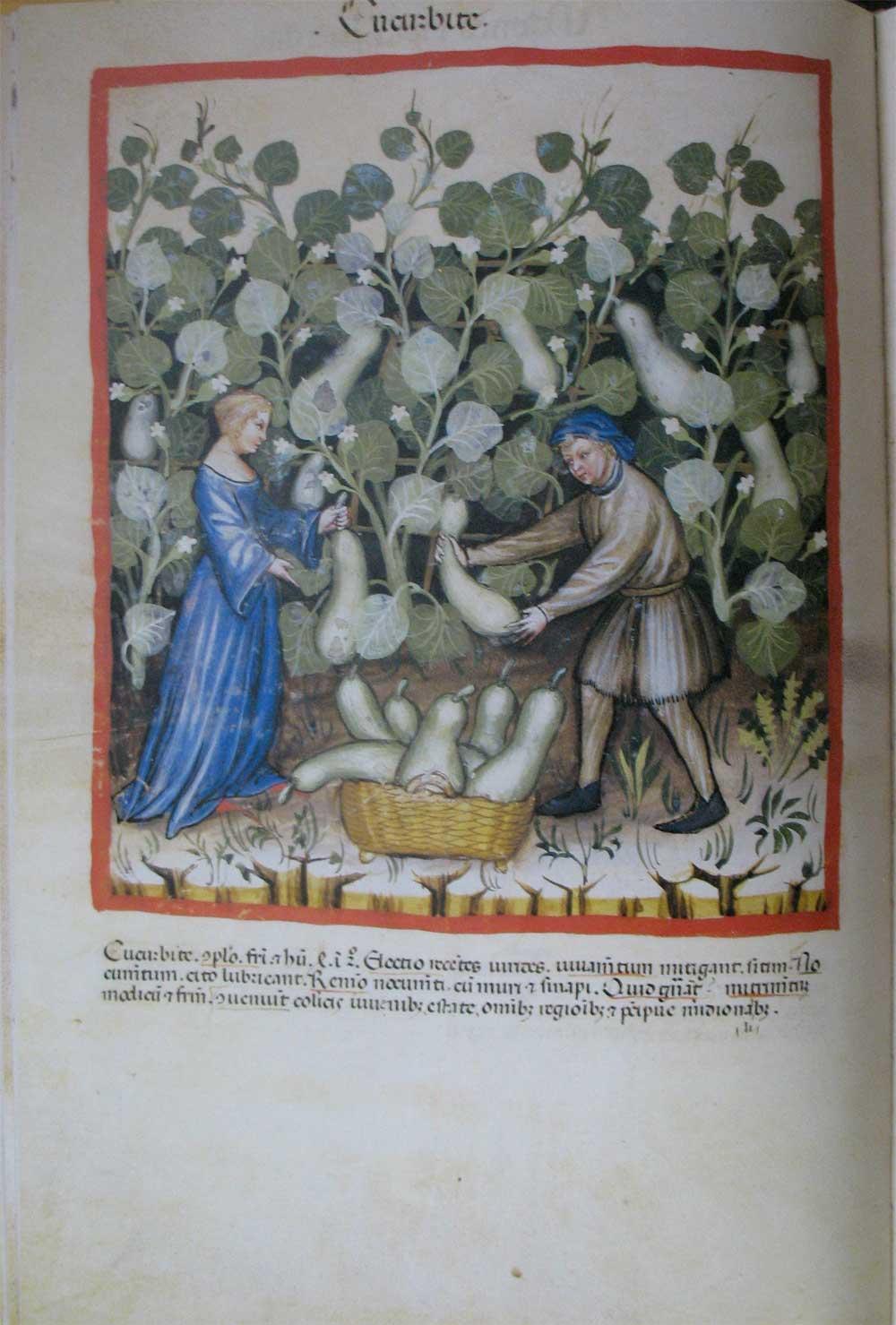 L'ART DE VIVRE AU MOYEN AGE: Codex Vindobonensis Series Nova 2644 ...