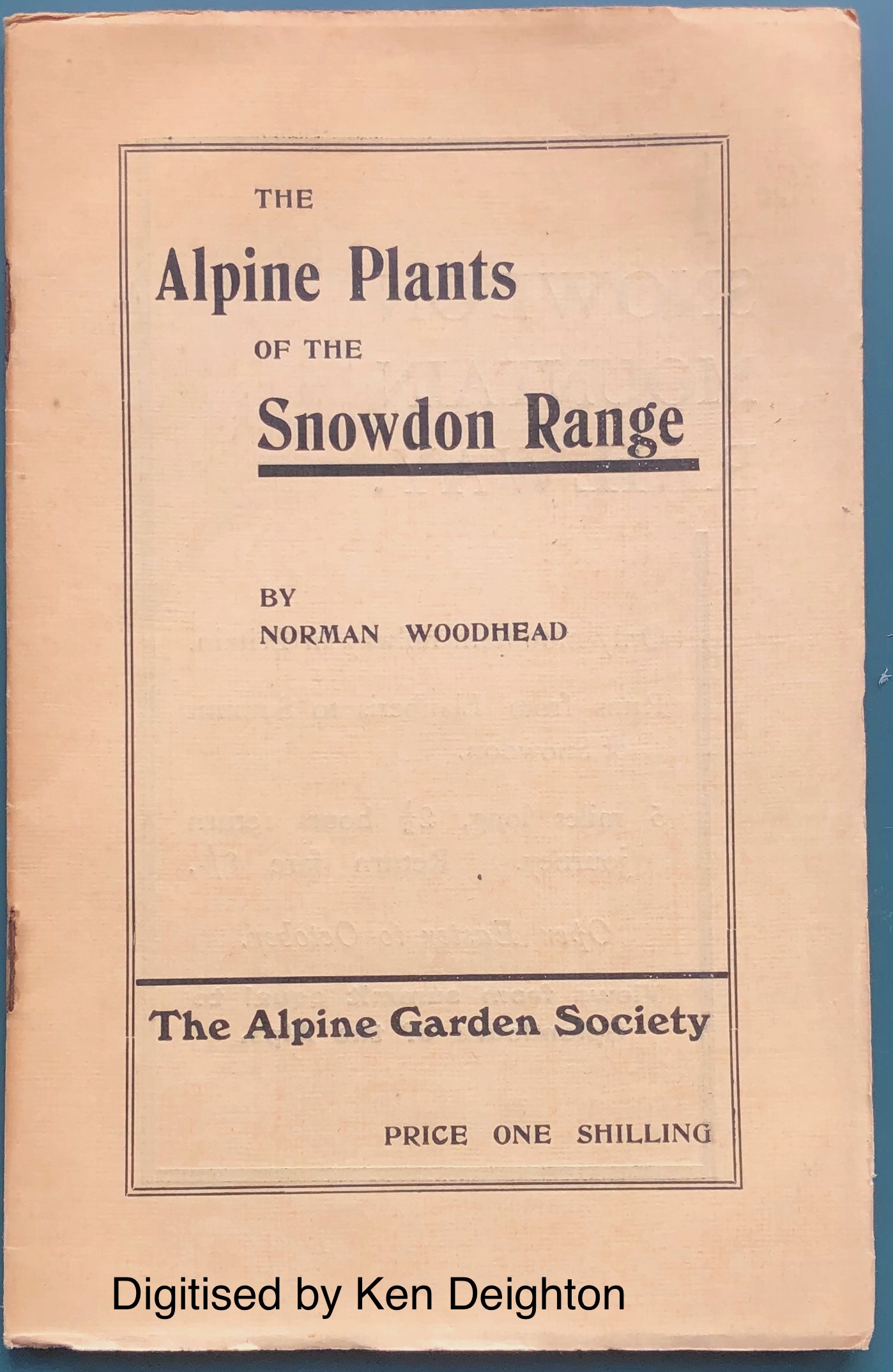 The Alpine Plants Of The Snowdon Range Price 1s 1d Post Free Reprinted ...