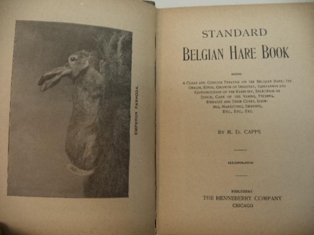 Standard Belgian Hare Book. Being A Clear and Concise Treatise on the ...