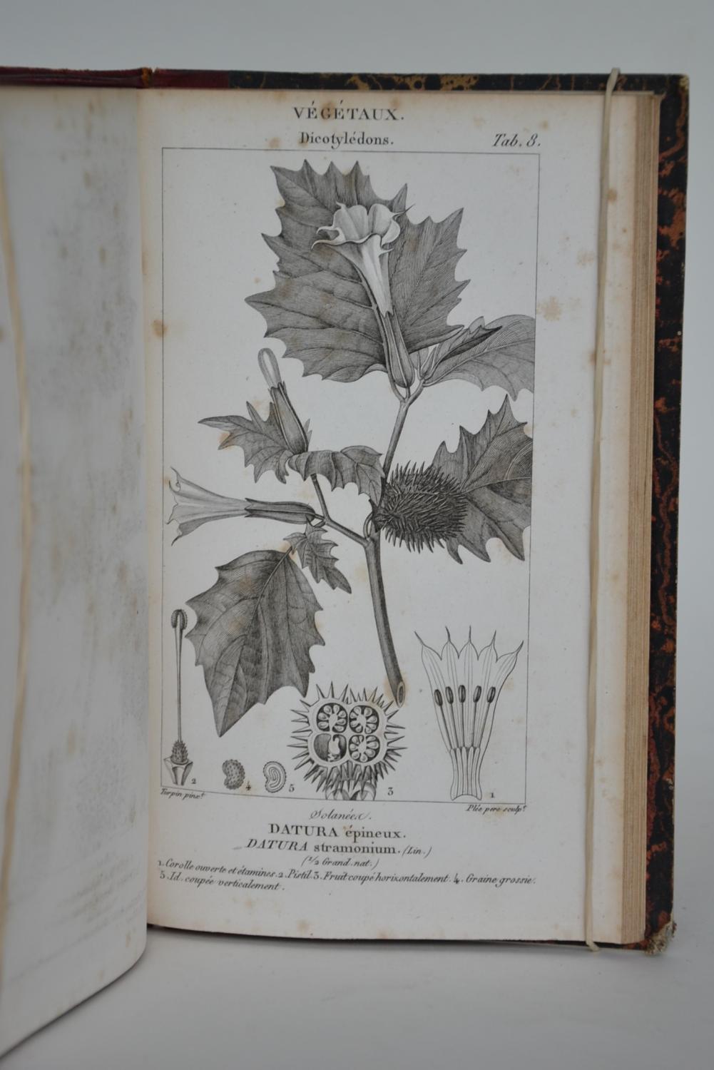 Leçons Faisant Partie Du Cours De Médecine Légale De M. Orfila by ...