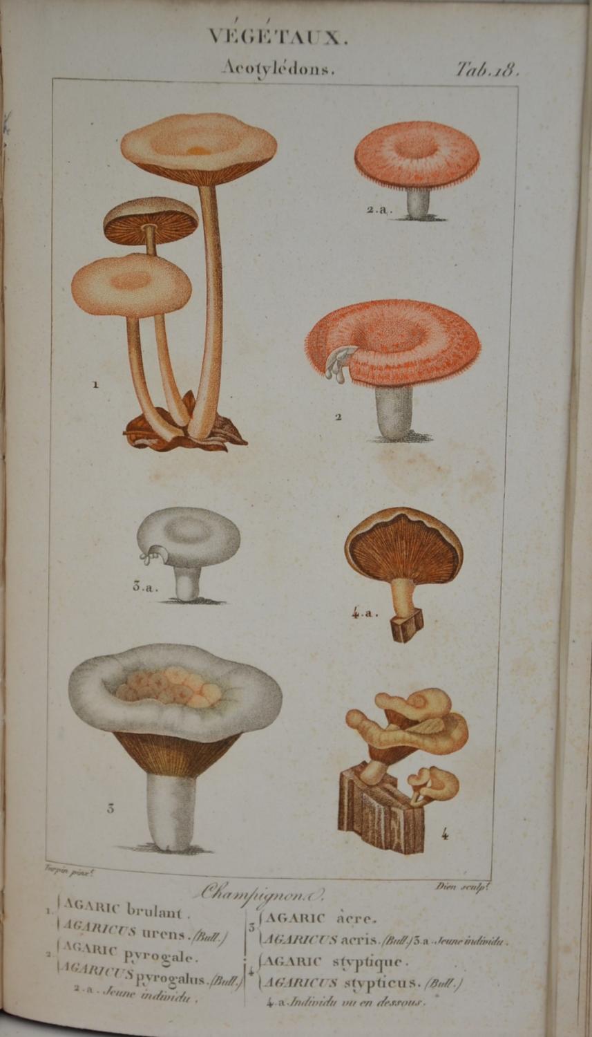 Leçons Faisant Partie Du Cours De Médecine Légale De M. Orfila by ...