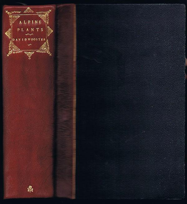 Alpine Plants:, figures and descriptions of some of the most striking ...