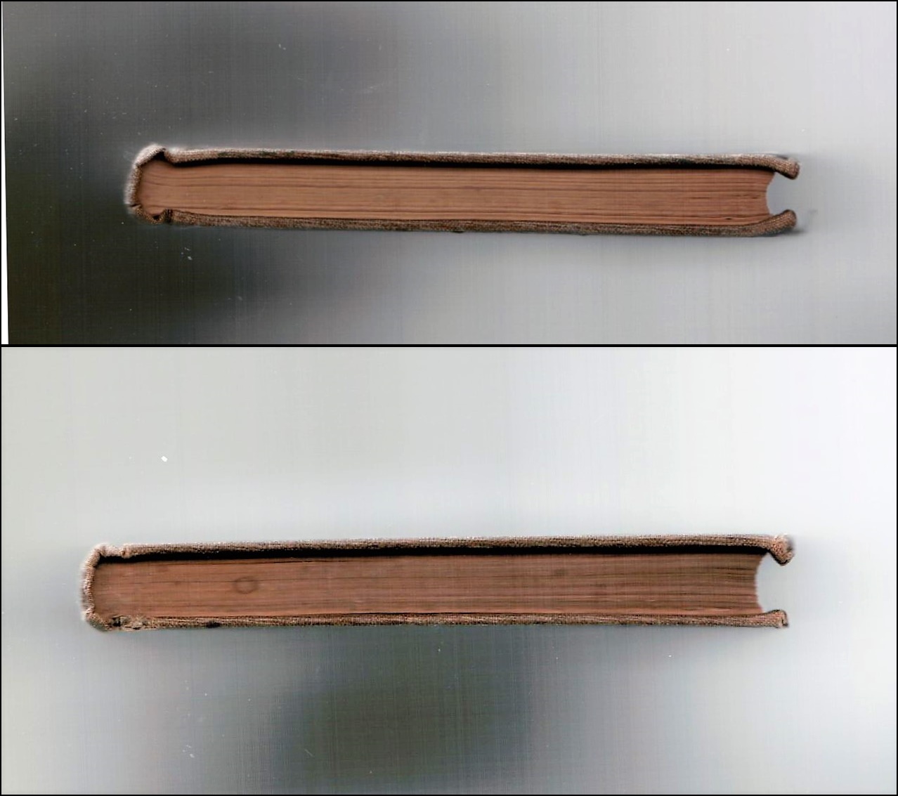 Lectures on Natural History: Its Relations to Intellect, Taste, Wealth ...