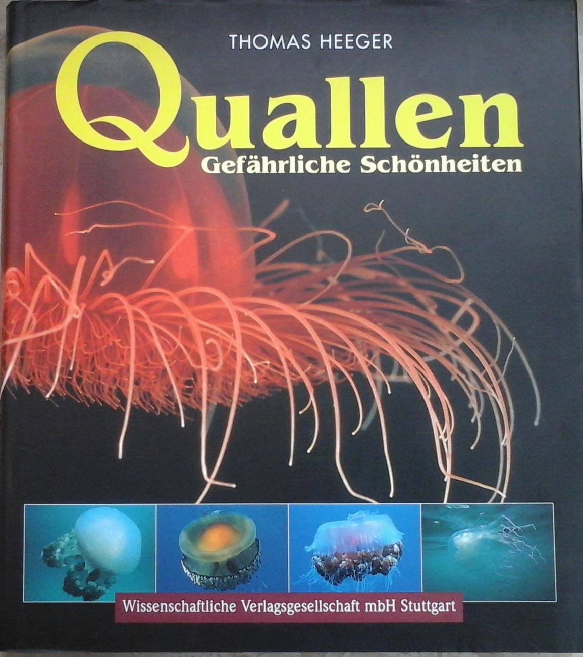 Quallen. Gefährliche Schönheiten von Thomas Heeger: Gut, Umschlag: Gut ...