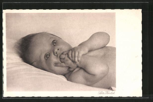 lotte herrlich - ZVAB