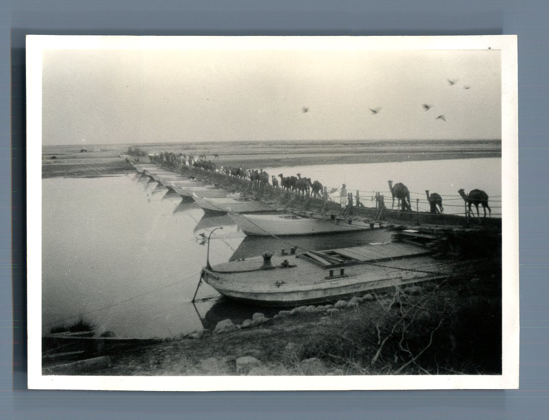India, Camel Convoy crossing a Boat Bridge von Photographie originale ...