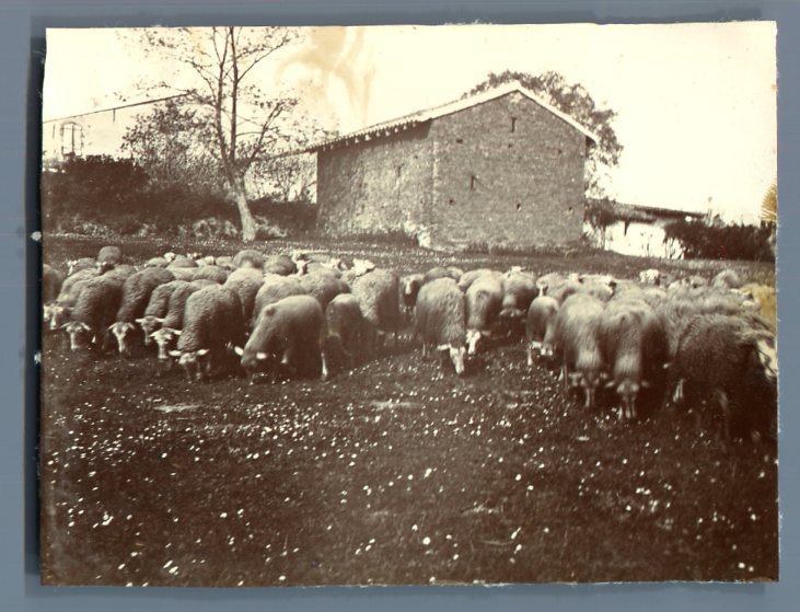France, Toulouse, Montaudran von Photographie originale / Original ...