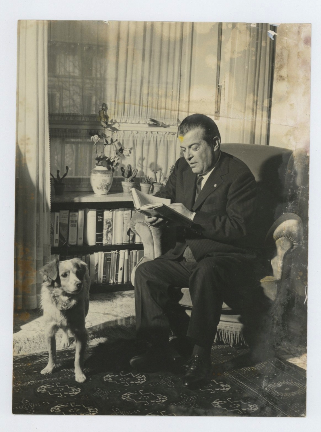 Maestro Cinico Angelini by Photographie originale / Original photograph ...