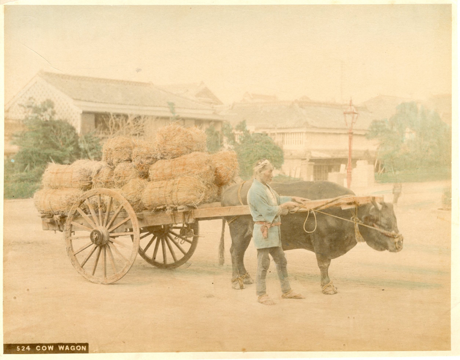 Japon, Cow Wagon by Photographie originale / Original photograph: (1875 ...
