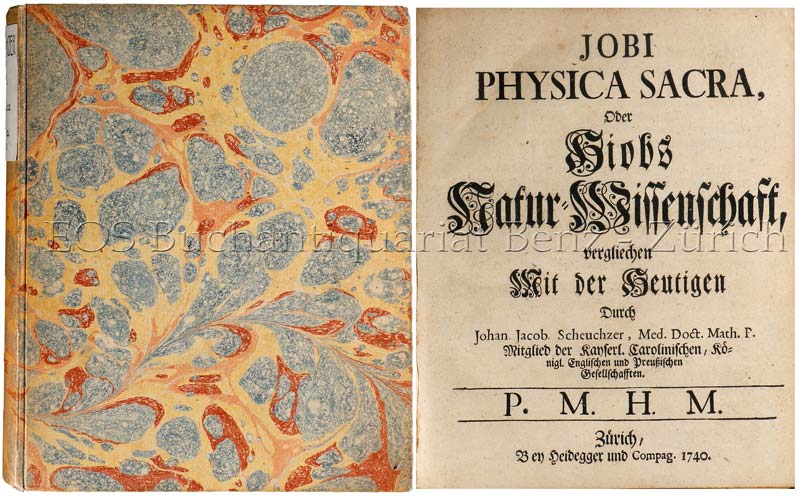 Jobi Physica Sacra, Oder Hiobs Natur-Wissenschaft vergliechen mit der ...