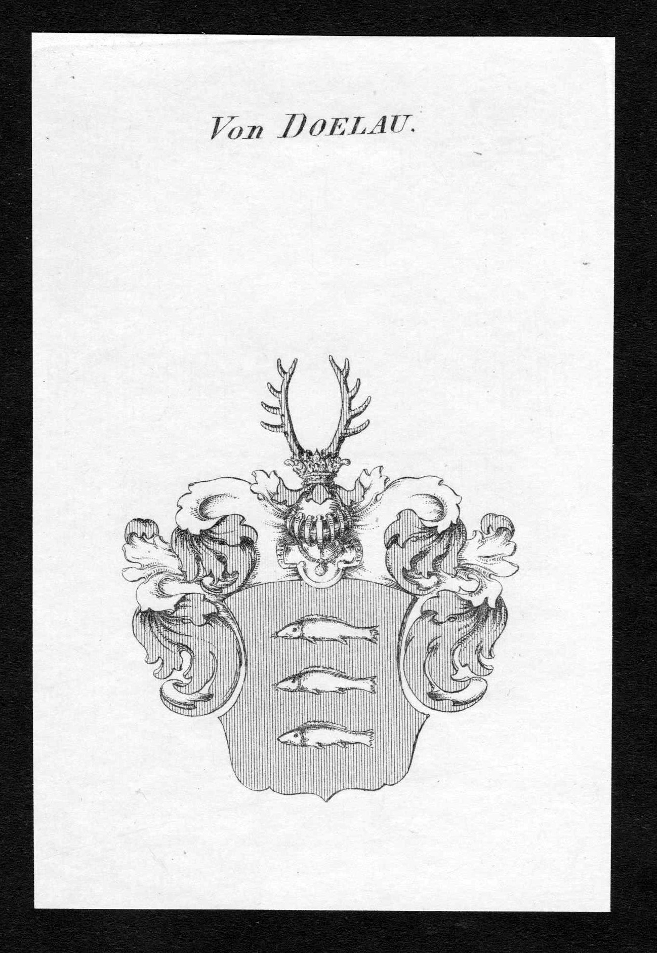 "Von Doelau" - Dölau Doelau Wappen Adel coat of arms heraldry Heraldik von Artist/Künstler ...