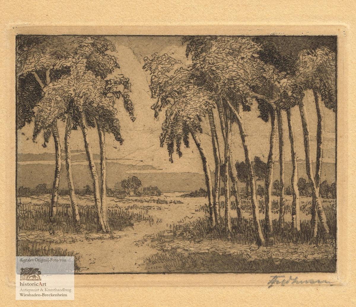 Birken in Heidelandschaft. Kleine Radierung von Wilhelm Feldmann um ...
