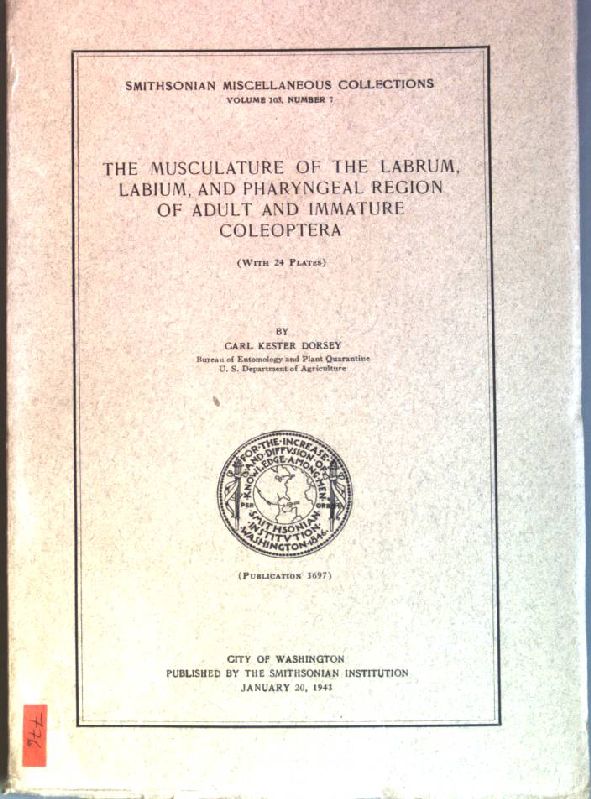 The Musculature of the Labrum, Labium, and Pharyngeal Region of adult ...
