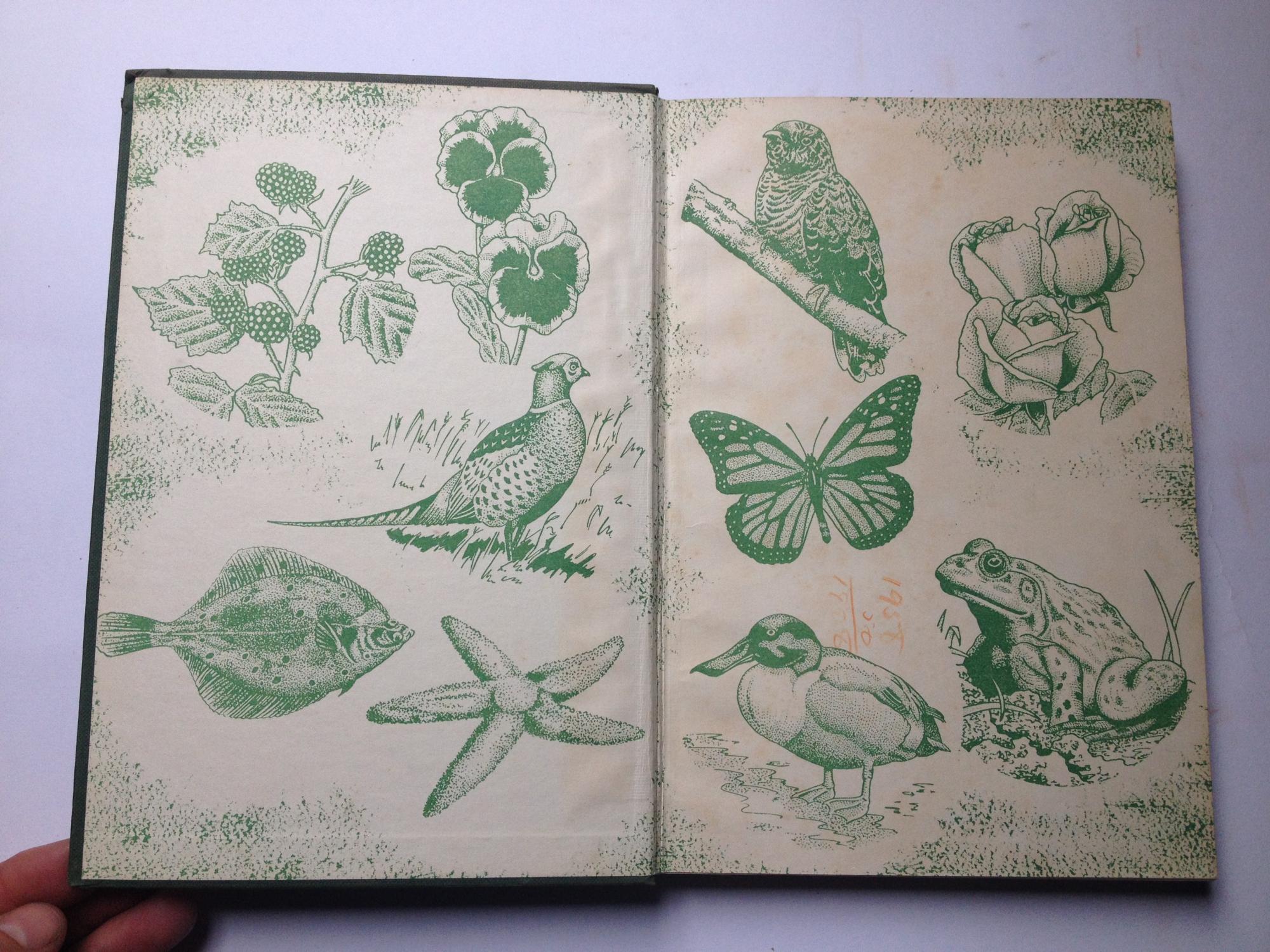 Britain's Wonderland of Nature by John R Crossland, J M Parrish: Good ...