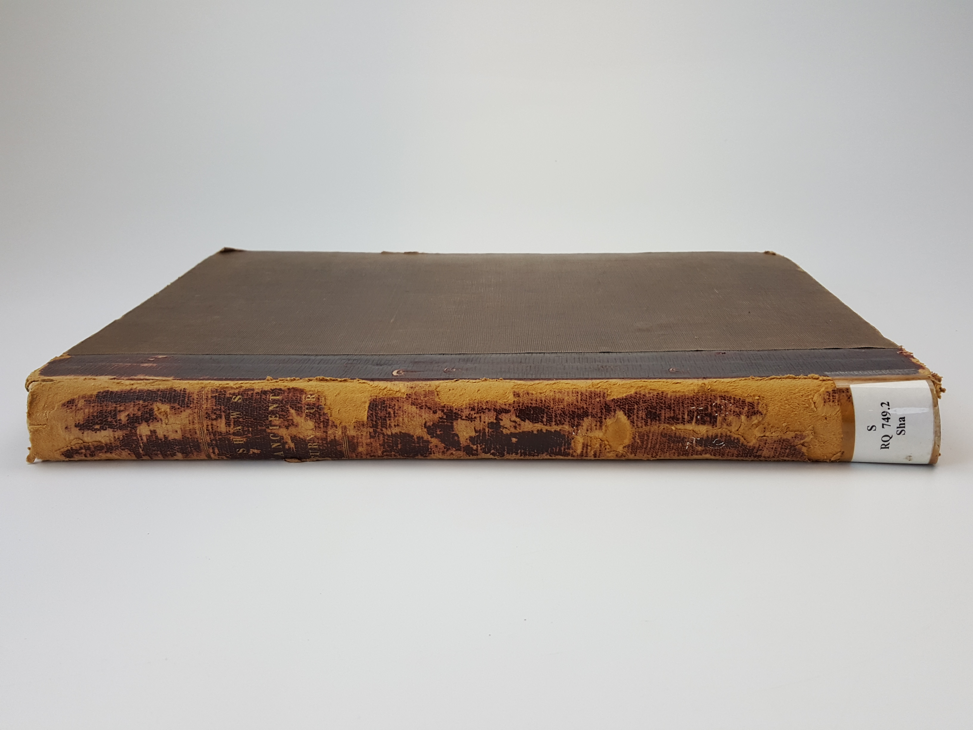 Specimens of Ancient Furniture Drawn from Existing Authorities by Henry ...