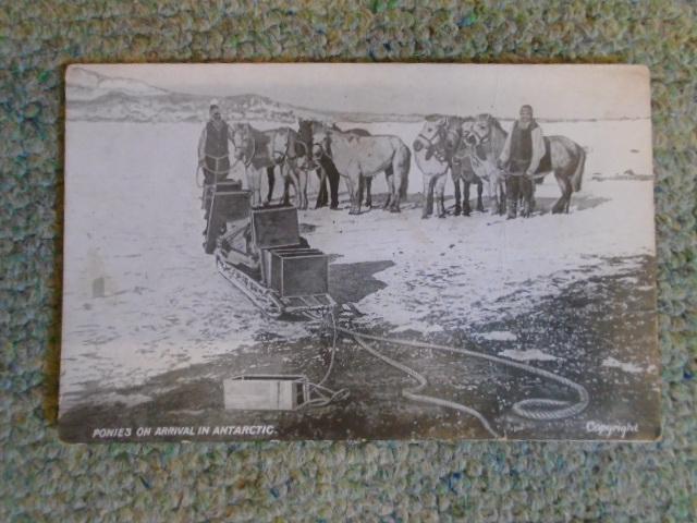 Collection of British Antarctic Expedition Postcards (1907-1909 ...