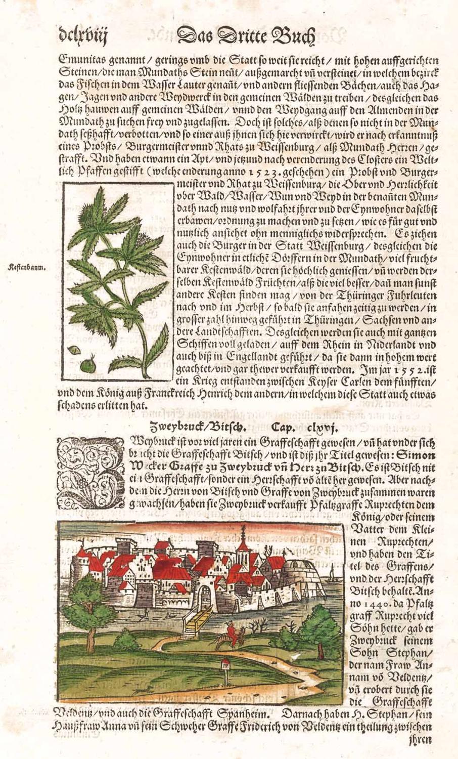 Gesamtansicht ('Zweybruck / Bitsch.'). by ZWEIBRÜCKEN:: Art / Print ...