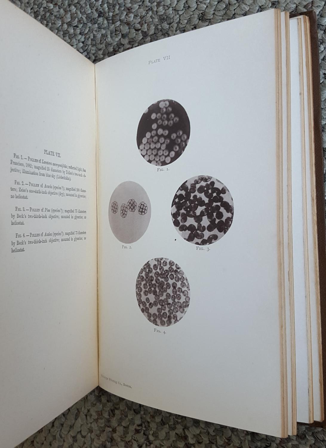 Photo-Micrographs and How to Make Them. Illustrated by Forty-Seven ...