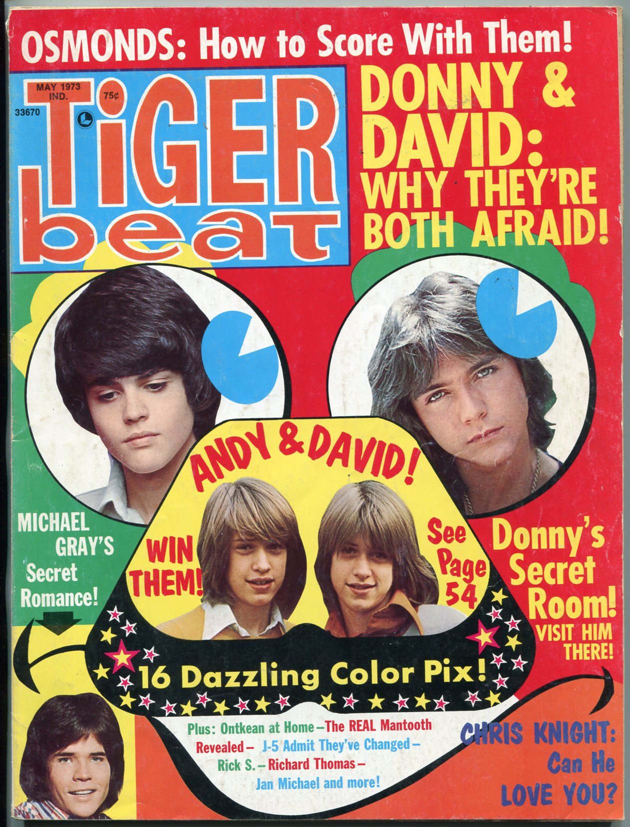 Tiger Beat Magazine May 1973- Donny Osmond- Andy Williams- David ...