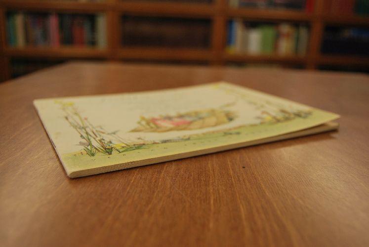 Tulifäntchen der Zwergheld. Versdichtung. Für Groß und Klein ...