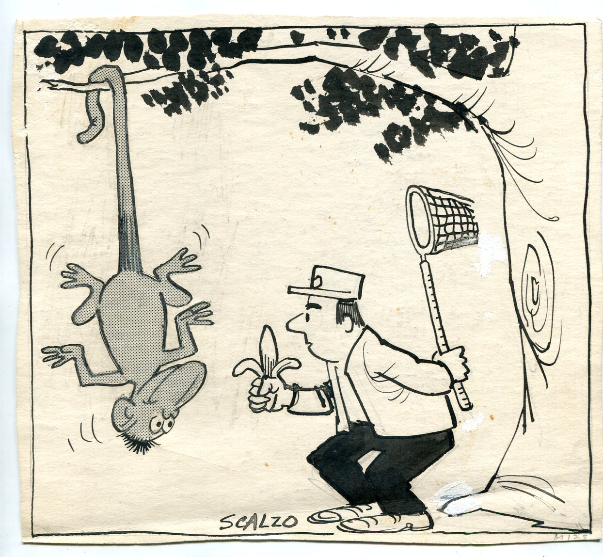 Carmine Scalzo Original Newspaper Art Monkey Gag: Comic | DTA Collectibles
