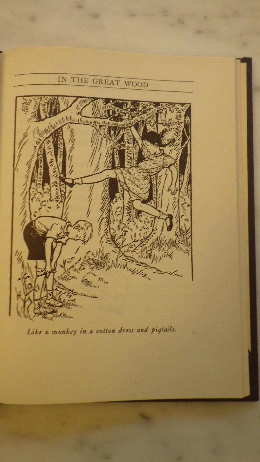 RODDY MEETS THE CIRCUS IN COLOR DUSTJACKET, by Mabel Betsy HILL, Roddy ...