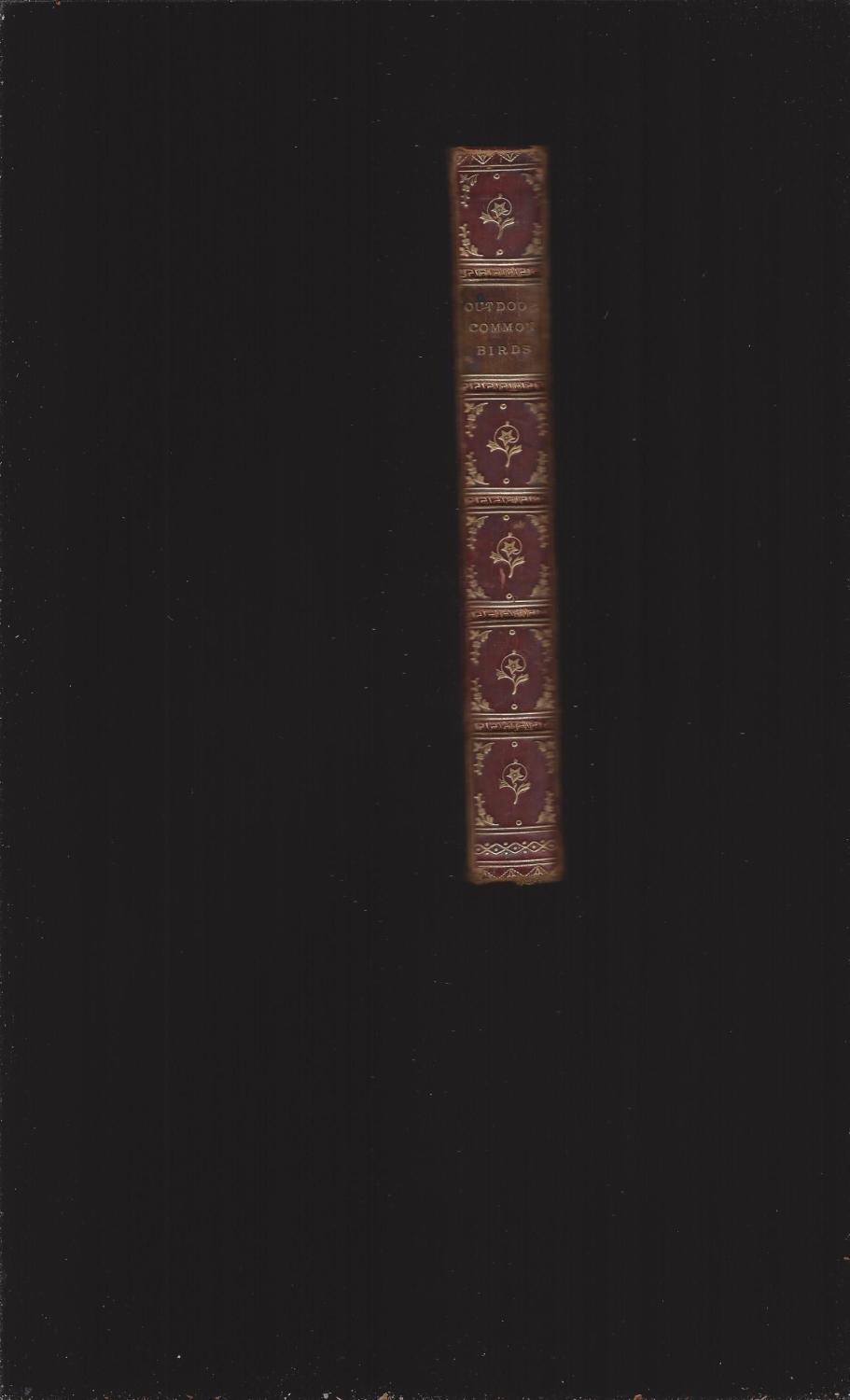 Outdoor Common Birds: Their Habits and General Characteristics by Harry ...