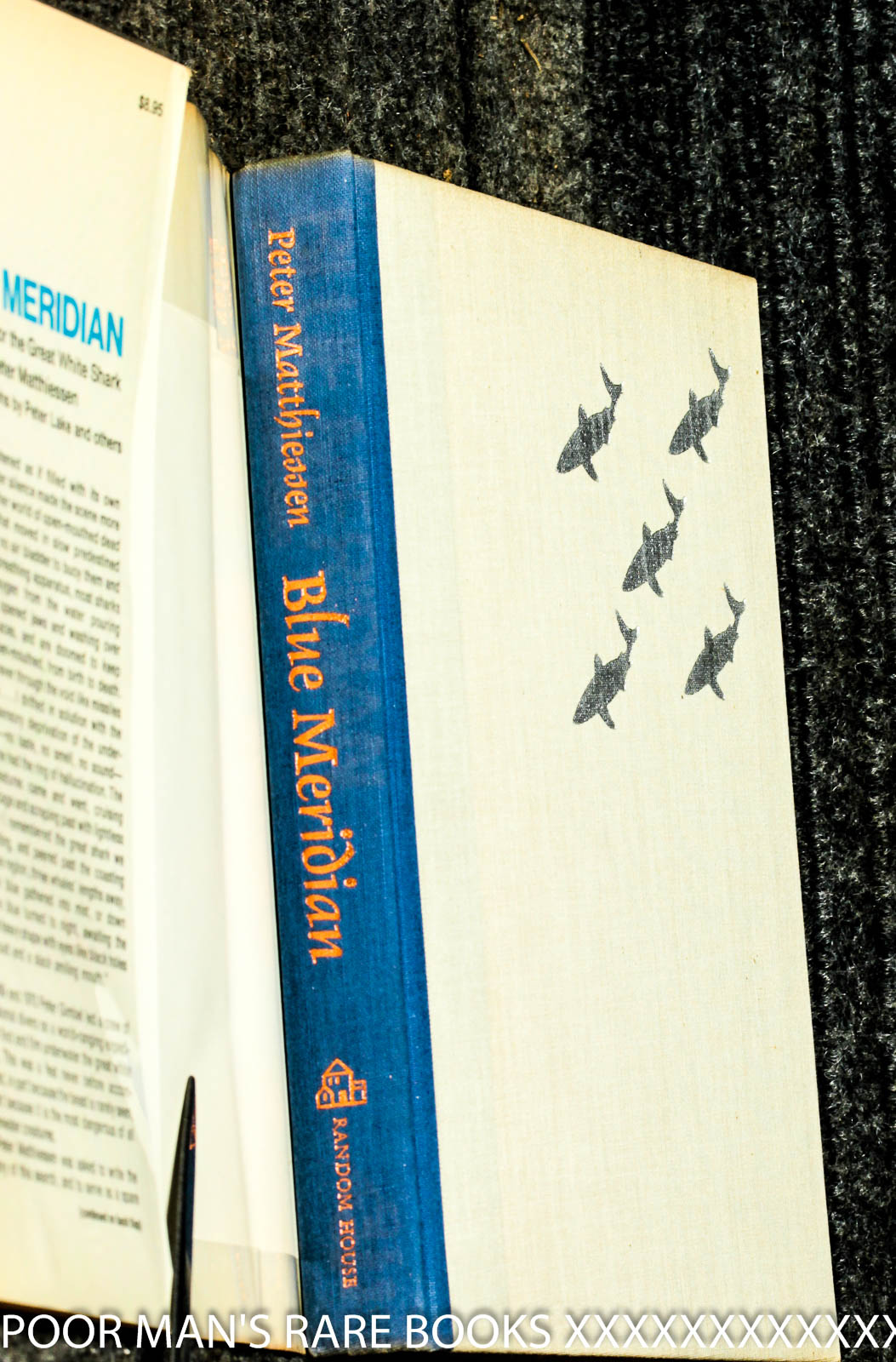 Blue Meridian The Search For The Great White Shark [ Advance Review ...