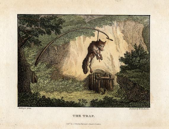 Antique Print-FOX TRAP-HUNTING-Nicholls-Redinger-1800: Art / Print ...