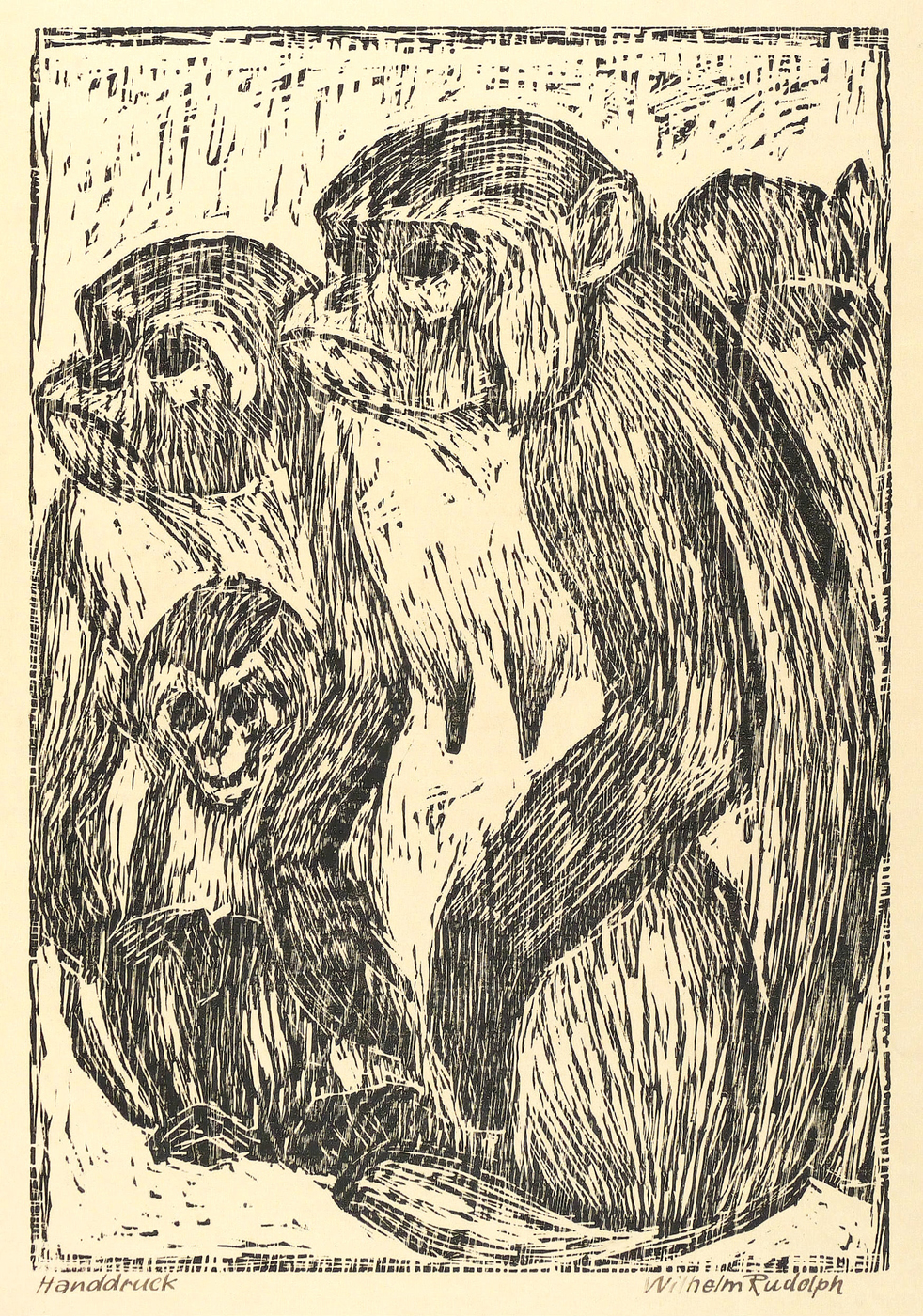 Rudolph, Wilhelm. Drei Schimpansen von Wilhelm Rudolph: guter Zustand ...