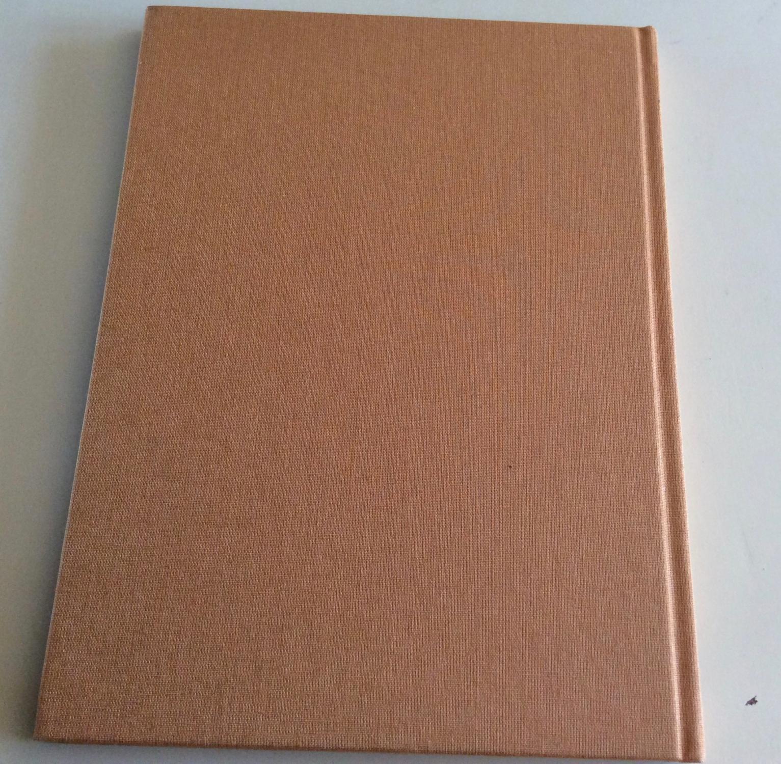 Souvenir by Chris Odgers: Near Fine Hardcover (2007) 1st Edition ...