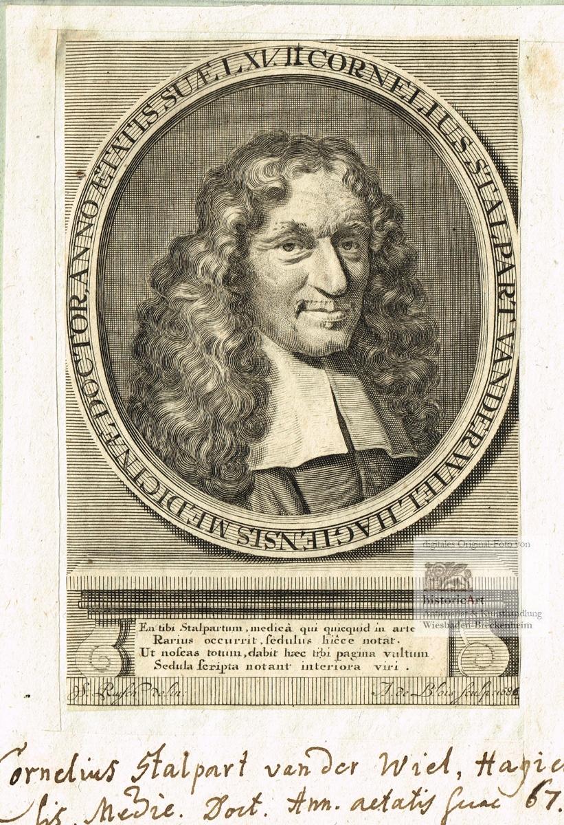 Cornelius Stalpart van der Wiel, Hagiensis medicinae doctor, anno ...